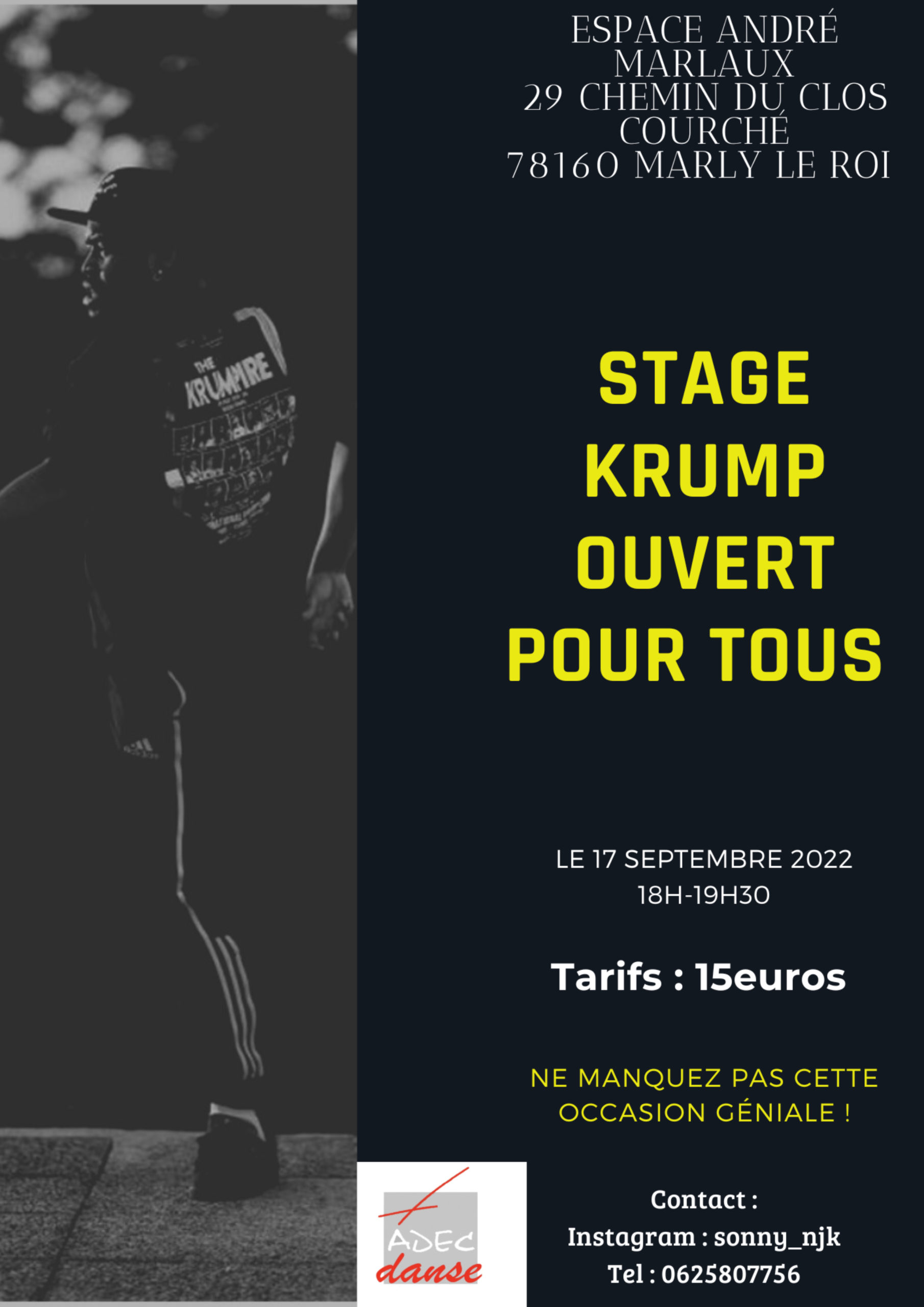 VENEZ DECOUVRIR LE 1ER STAGE DANSE DE LA SAISON ! - adec-danse